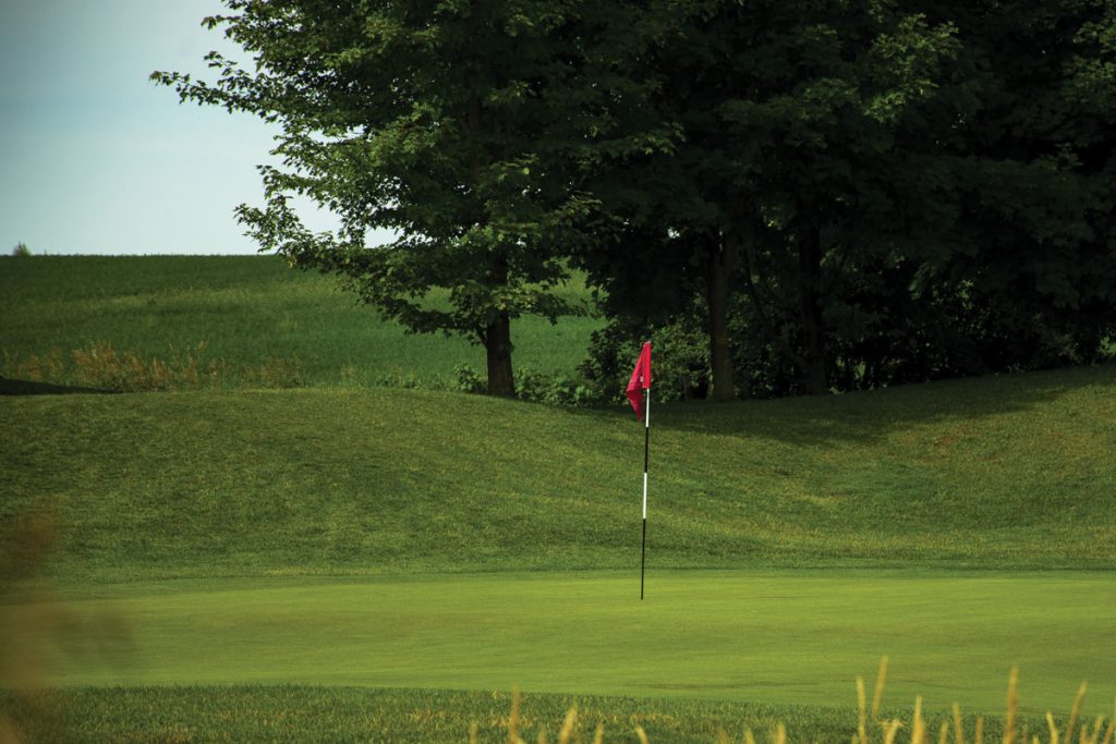 Rebel Creek Golf Club – GolfNorth