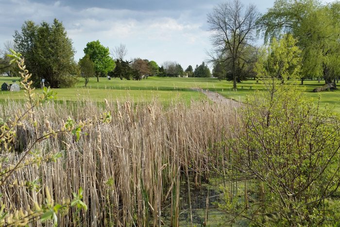 Maple Ridge Golf Club – GolfNorth