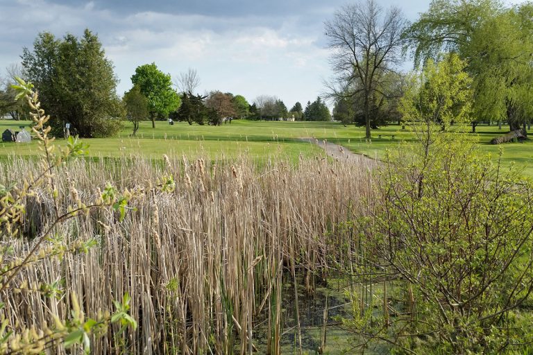 Maple Ridge Golf Club – GolfNorth