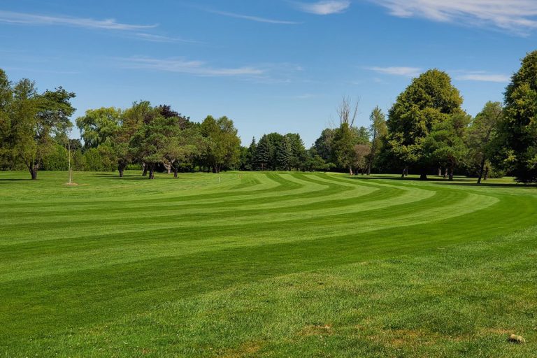 Maple Ridge Golf Club – GolfNorth