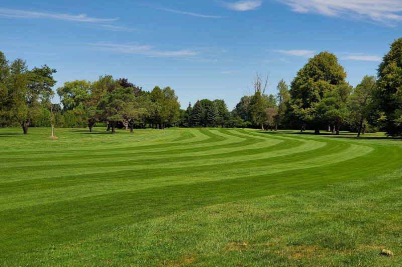 Maple Ridge Golf Club – GolfNorth