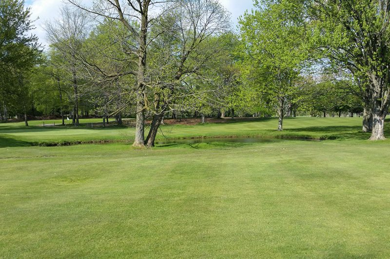 Maple Ridge Golf Club – GolfNorth