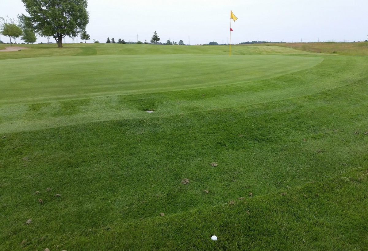 Westminster Trails Golf Club – GolfNorth