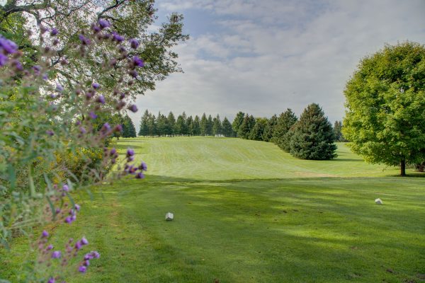 Tamarack Ridge Golf Club – GolfNorth