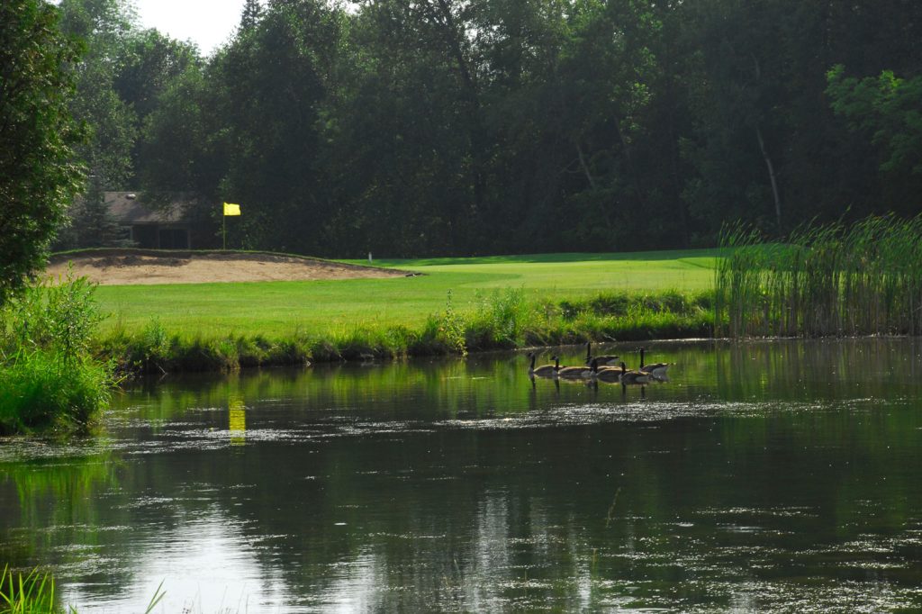 Acton Golf Club – GolfNorth