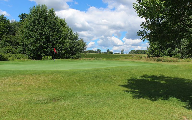 The Fox Golf Club – GolfNorth
